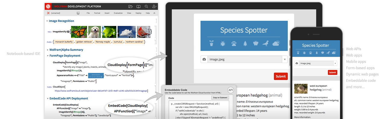 Wolfram Development Platform Introducing A Programming Revolution